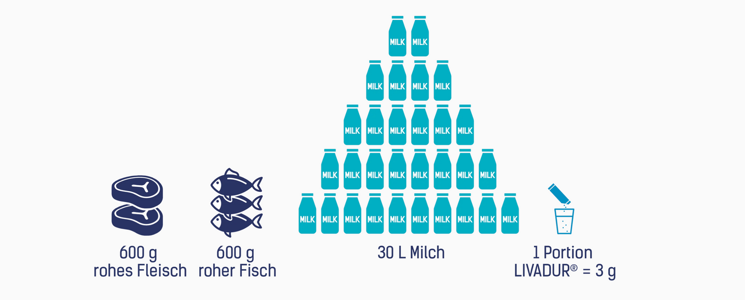 Inhaltsstoffe Livadur – LIVADUR